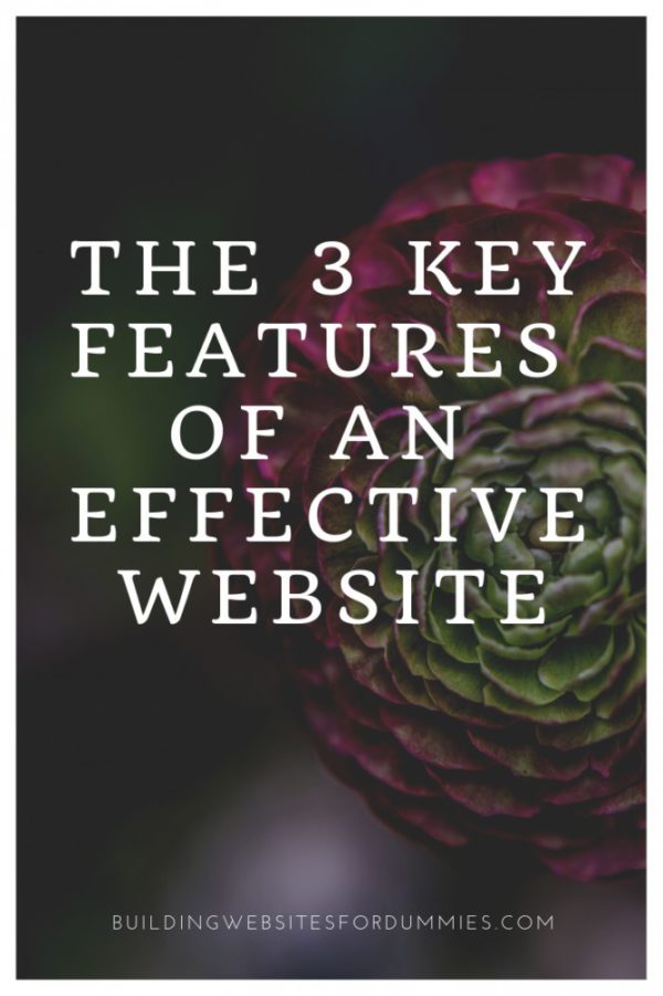 3 Key Features Of An Effective Website | Building Websites for Dummies